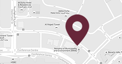 QNMP :: Qatar National Master Plan